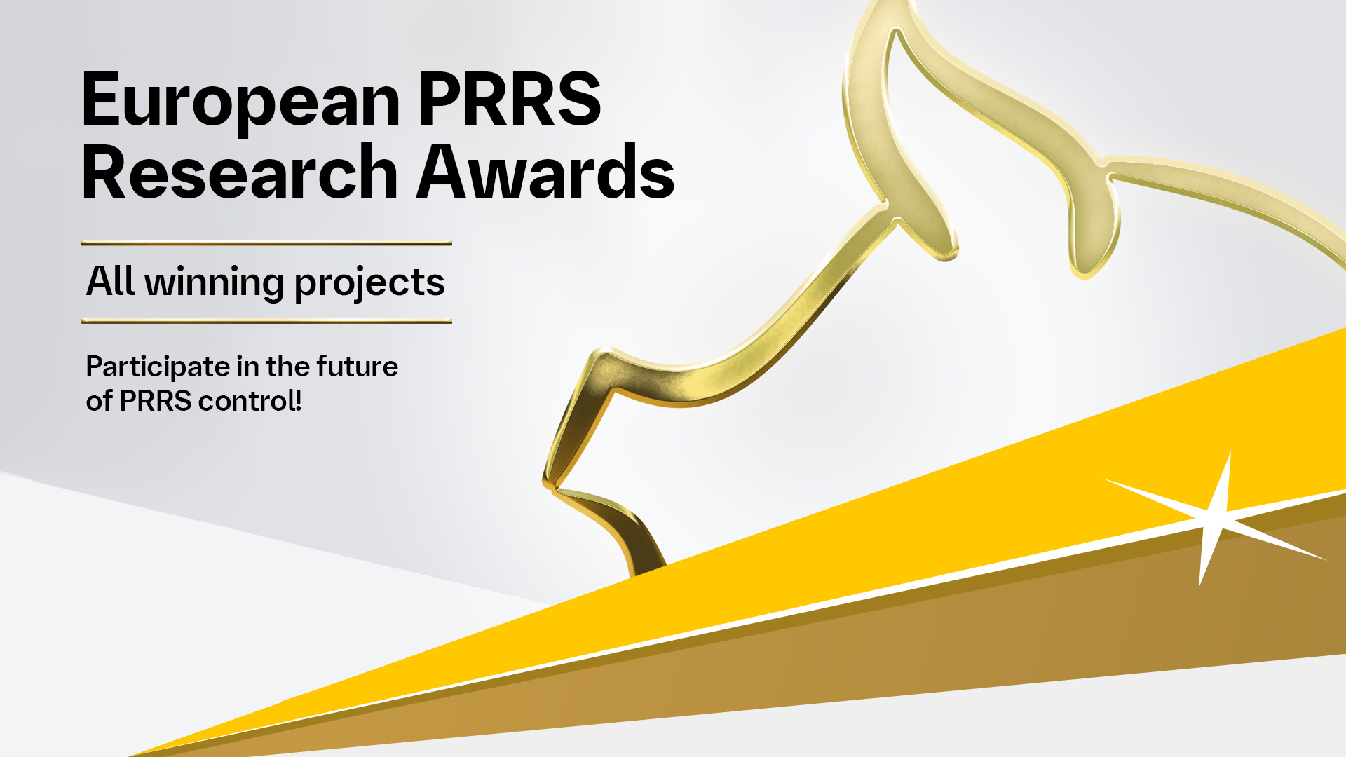 The 12th European PRRS Research Awards | PRRS.com