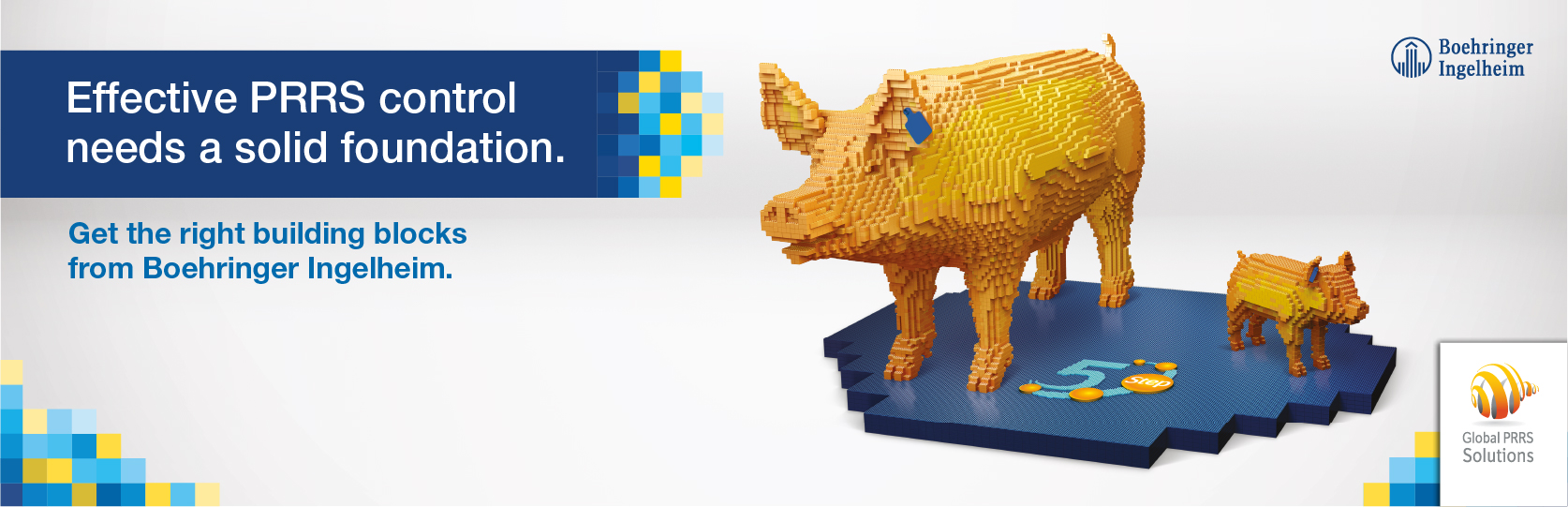 PRRS control | PRRS.com