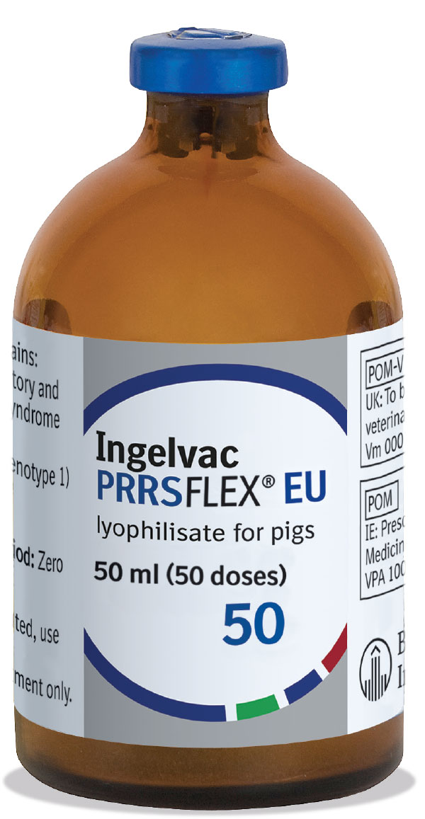 Ingelvac PRRSFLEX® EU | PRRS.com