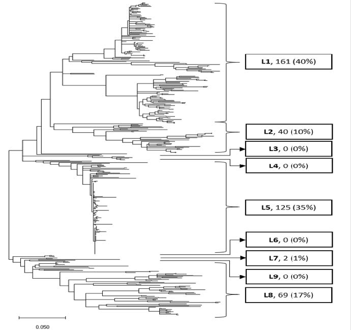 Geographic and Phylogenetic Distribution of PRRSV in México | PRRS.com