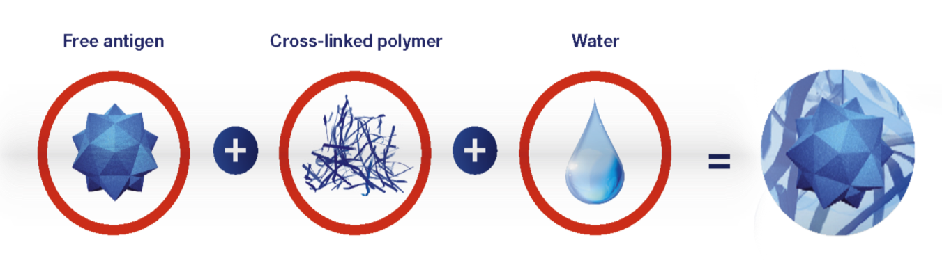 ReproCyc® PRRS EU | PRRS.com